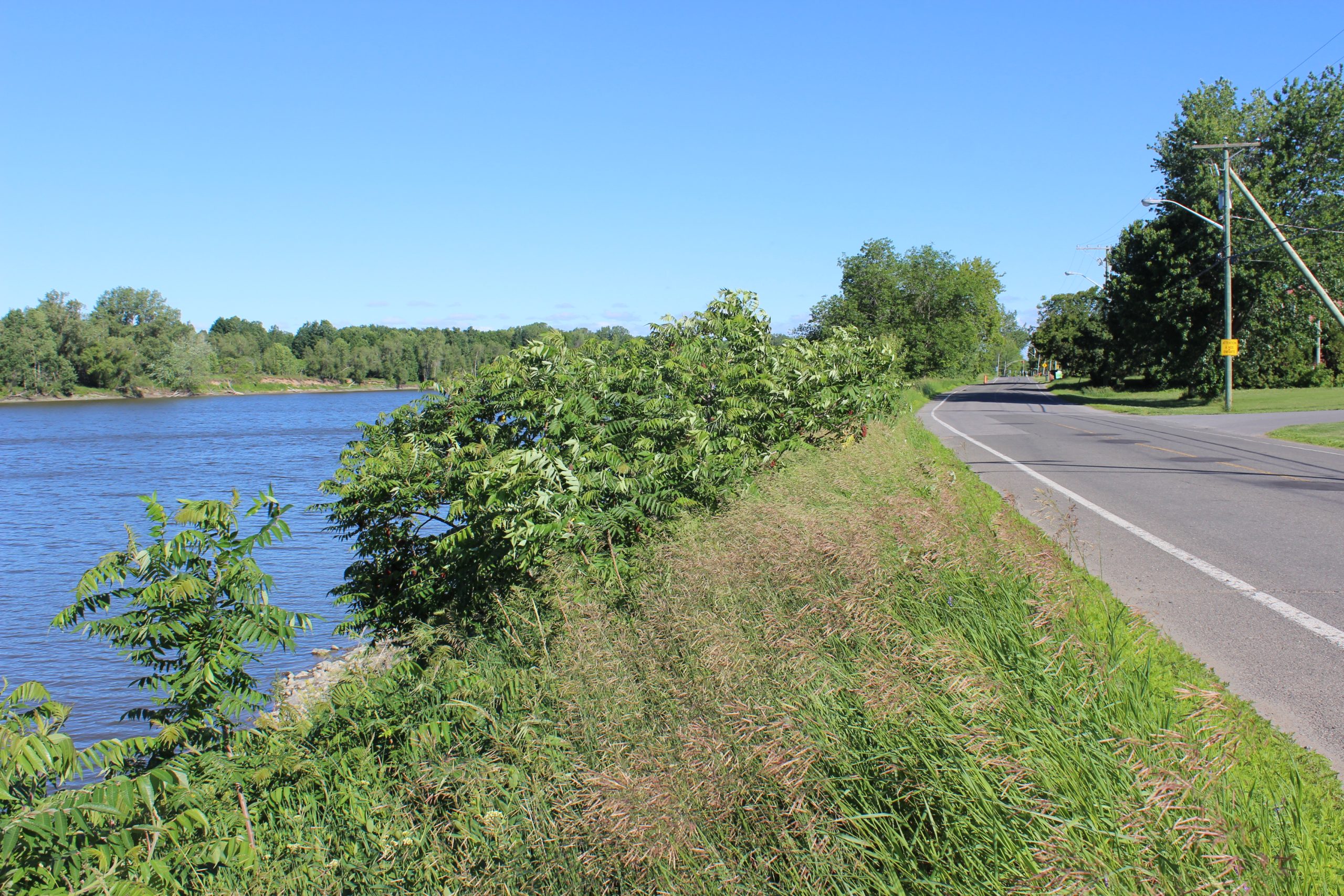 Une rive sous surveillance - Le Courrier Sud