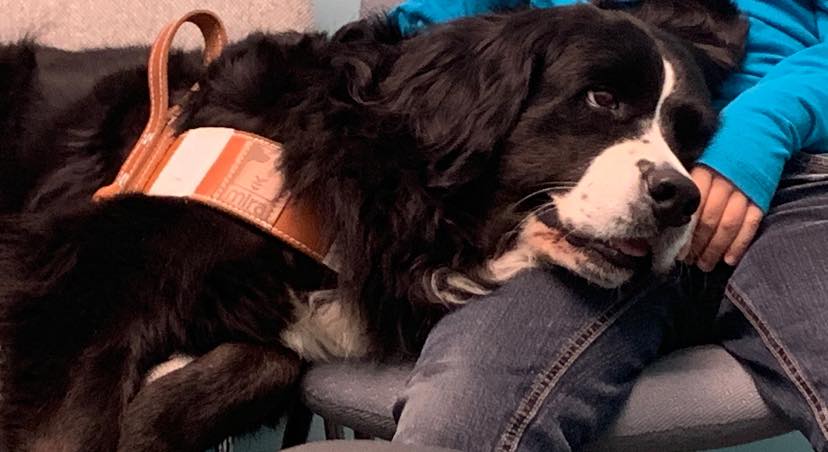 Nilane, maître de l’intervention - Le Courrier Sud