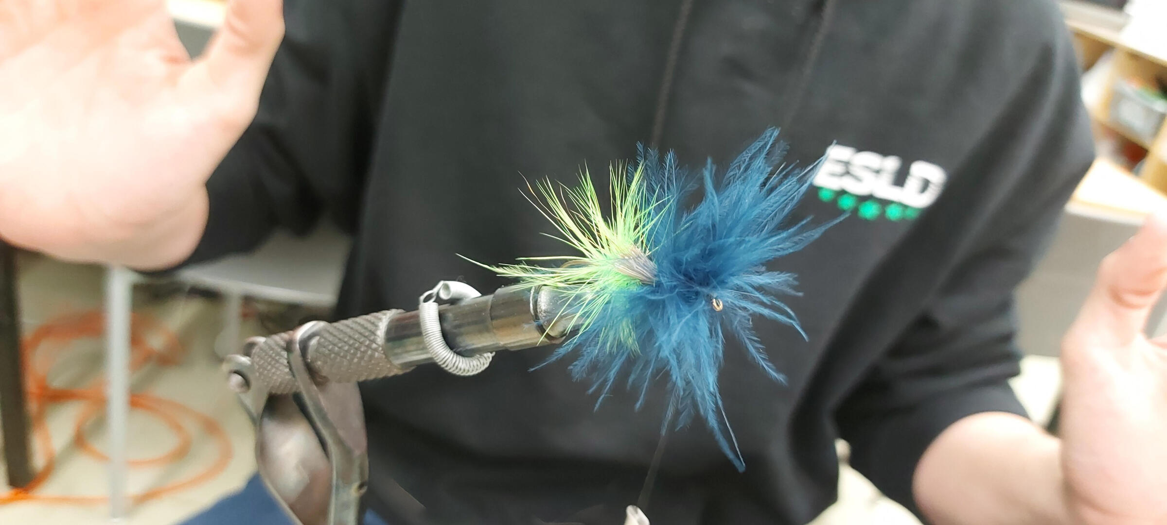 Un projet qui fait mouche à l'ESLD - Le Courrier Sud