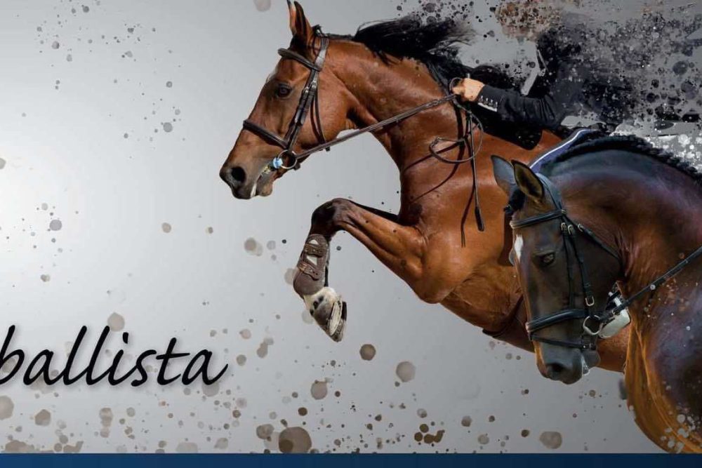 Place au 28e Caballista - Le Courrier Sud