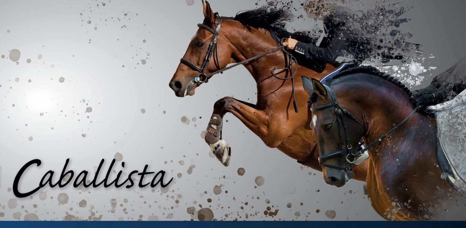 Place au 28e Caballista - Le Courrier Sud