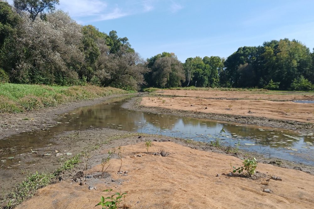 Saint-Grégoire : un aménagement pour soutenir la reproduction de la ...